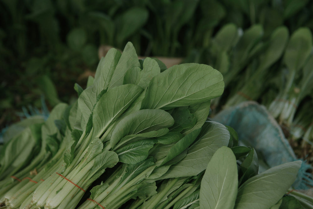 Organic Fruit & Vegetable Box | From Farmer To Your Door!